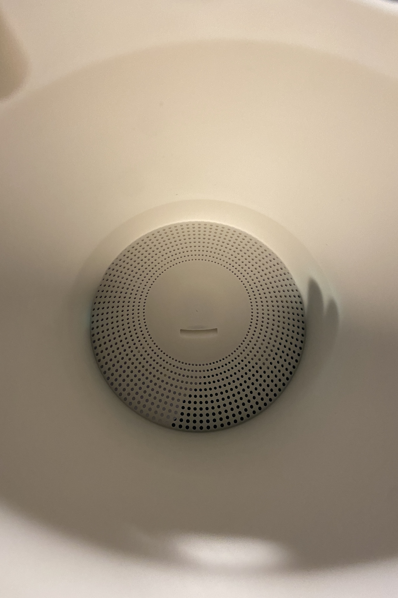 SO MUSE | Louie Gavin | 2021 › Studiengang Design